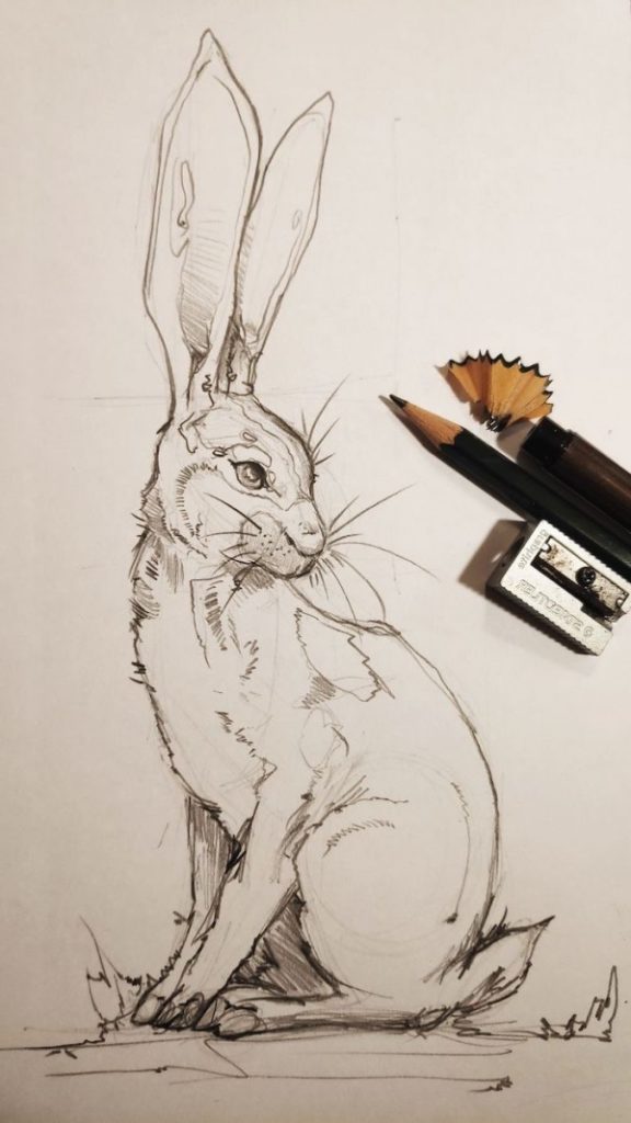 How To Draw Animals? - 60 Easy Pencil Drawings Of Animals